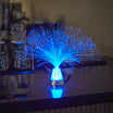 MOREUSHOP | Colorful Starry Fiber Optic Night Light – Moreushop