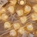 MOREUSHOP | LED Romantic Fluorescent Shell String Light – Moreushop