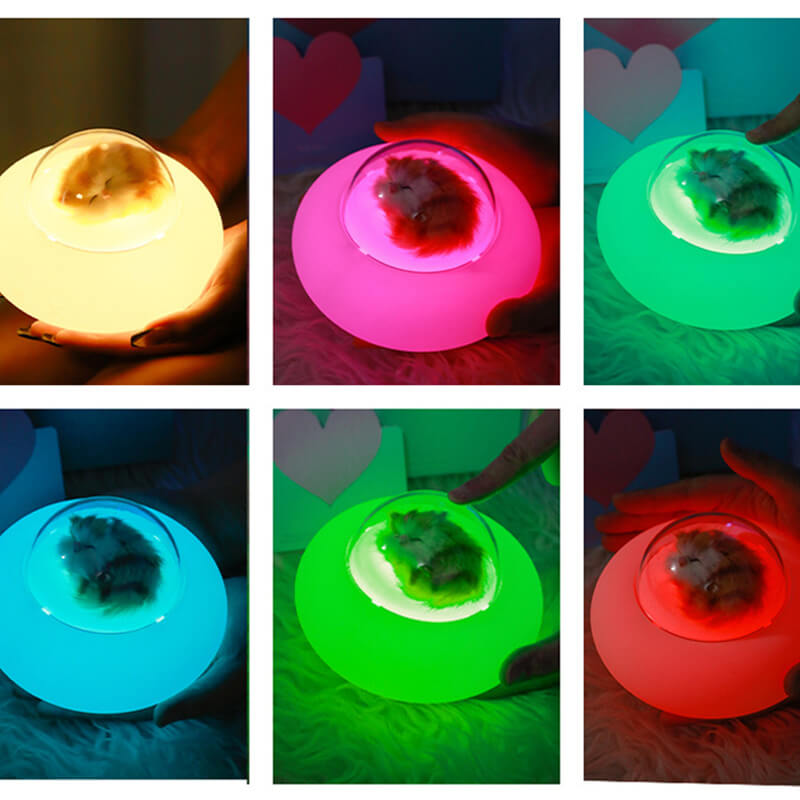 MOREUSHOP | Pet Spaceship Silicone Lamp – Moreushop®