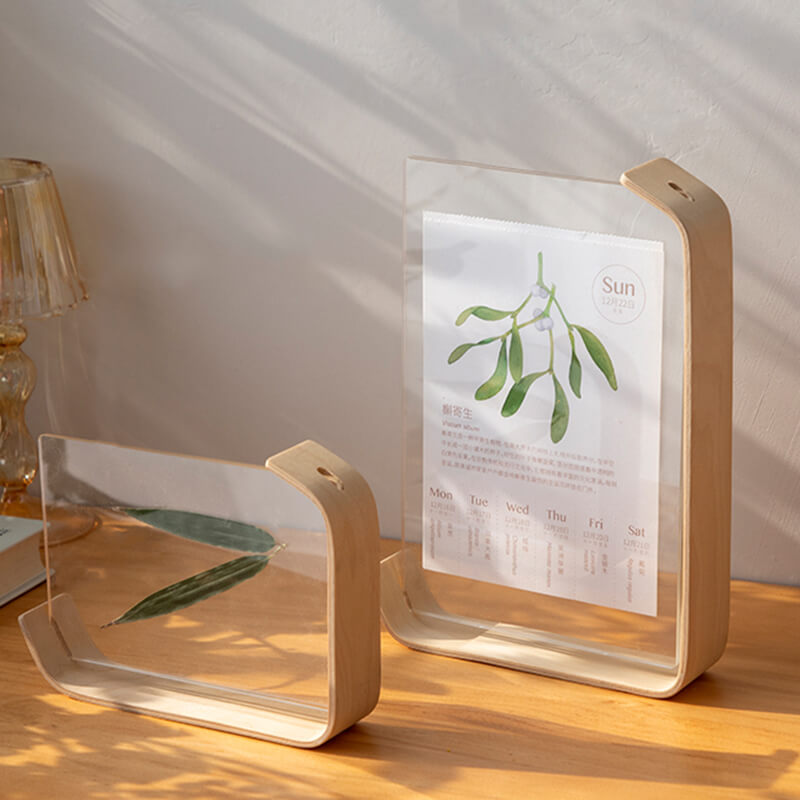 MOREUSHOP | Acrylic Creative Photo Frames – Moreushop®