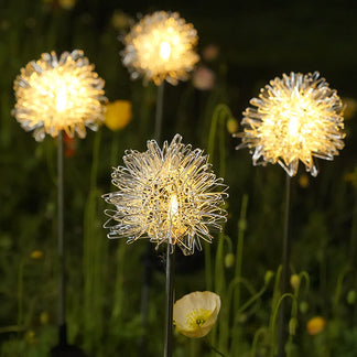 MOREUSHOP | Solar Dandelion Outdoor Decorative Light – Moreushop®