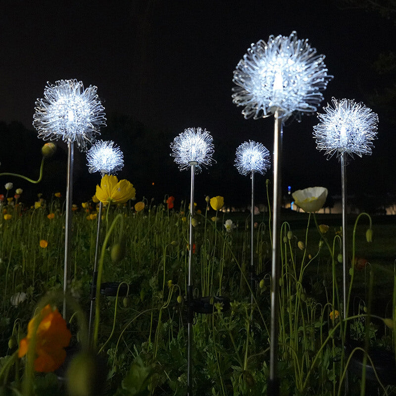 MOREUSHOP | Solar Dandelion Outdoor Decorative Light – Moreushop®