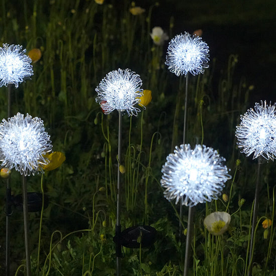 MOREUSHOP | Solar Dandelion Outdoor Decorative Light – Moreushop®