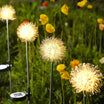 MOREUSHOP | Solar Dandelion Outdoor Decorative Light – Moreushop®