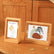 MOREUSHOP | Solid Wood Acrylic Photo Frame – Moreushop®